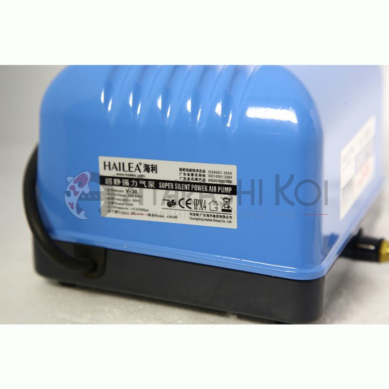 Hailea V30 | Atarashi Koi